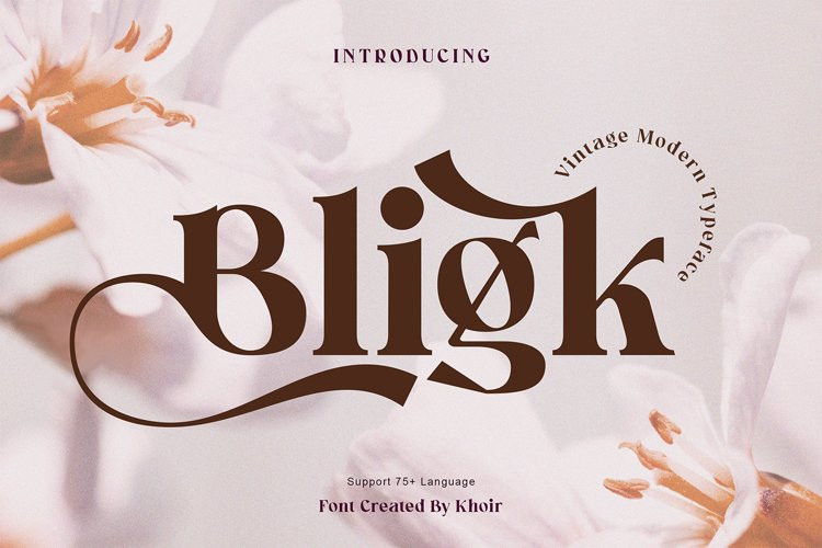 Bligk - Vintage Modern Font - Free Font