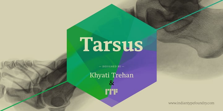 Tarsus Font Family (Update) - Free Font