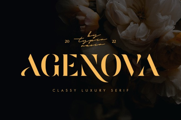 Agenova - Modern Luxury Bold Stencil Serif - Free Font