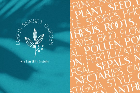 Elegante FD Font - Free Font