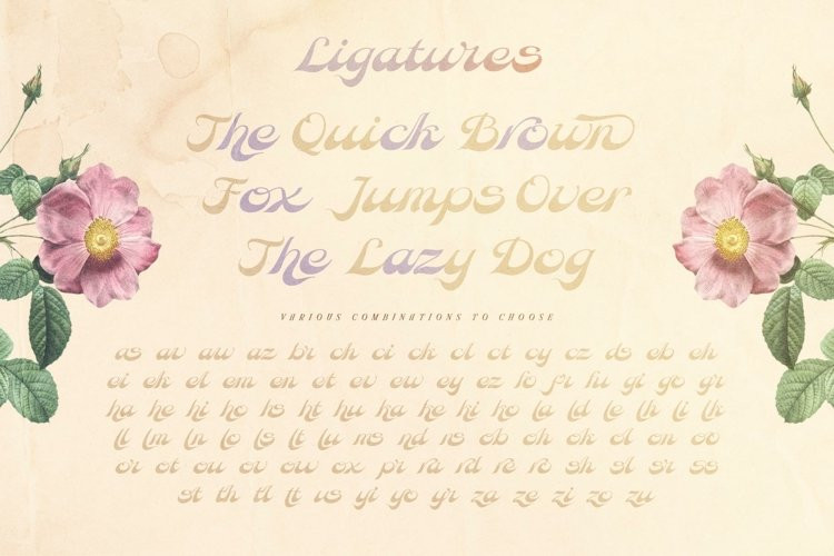 Hoky Mint Font - Free Font