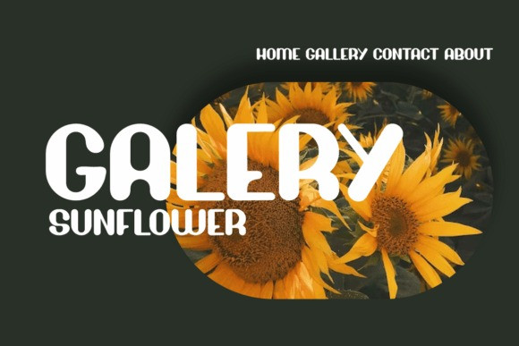 Karin Collection Font - Free Font