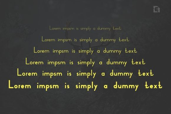 Radder Font Family - Free Font
