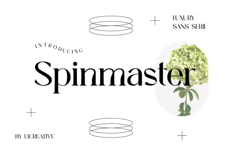 Spinmaster modern display serif font - Free Font