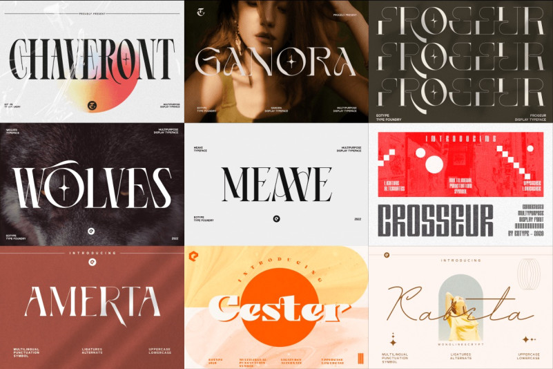 Super Bundle of 20 Display Fonts - Free Font