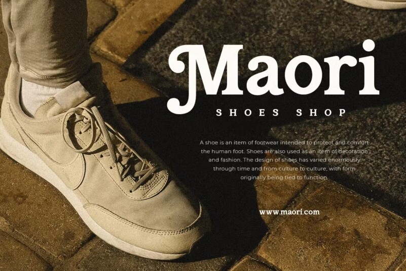 Campaign Serif - Modern Stylish Font - Free Font