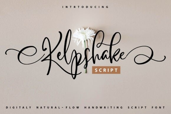 Kelpshake Font - Free Font