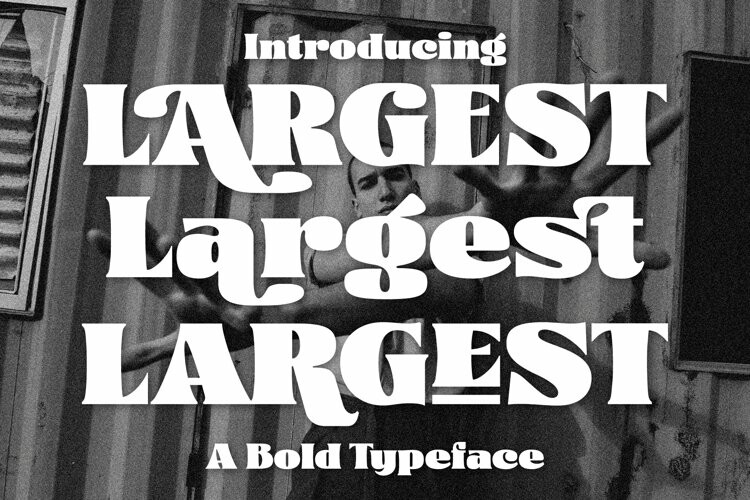 Largest Font - Free Font