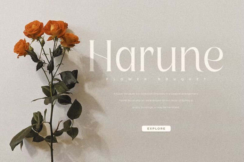Ethnic - Luxury Modern Beauty Serif Font - Free Font