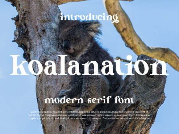 Koalanation Font - Free Font