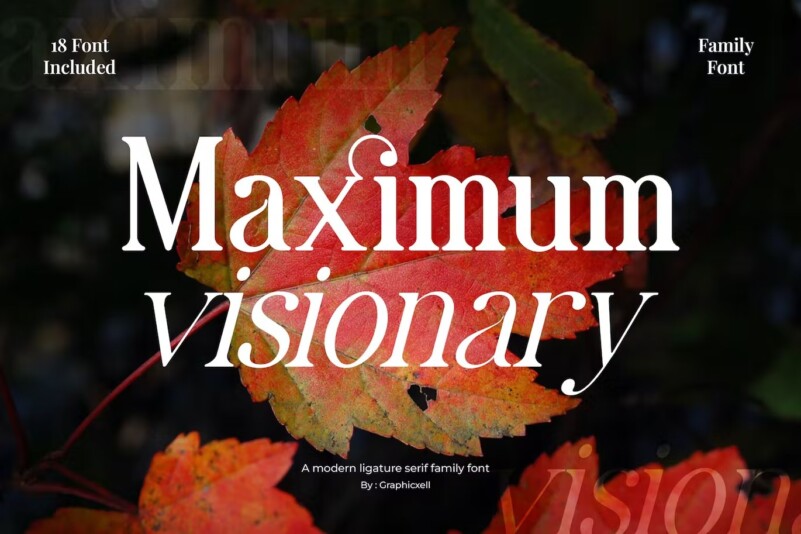 Maximum Visionary Family Elegant Serif Font - Free Font