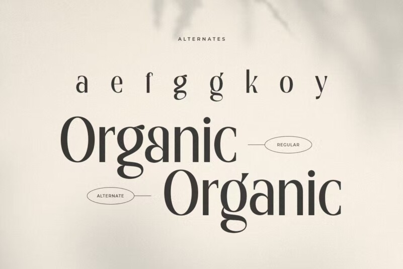 Royal - Modern Unique Display Font - Free Font