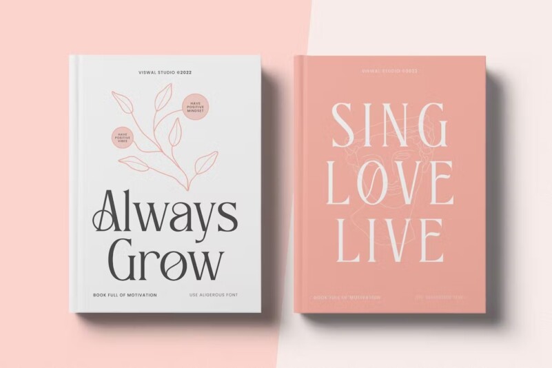 Aligers - Modern Font - Free Font