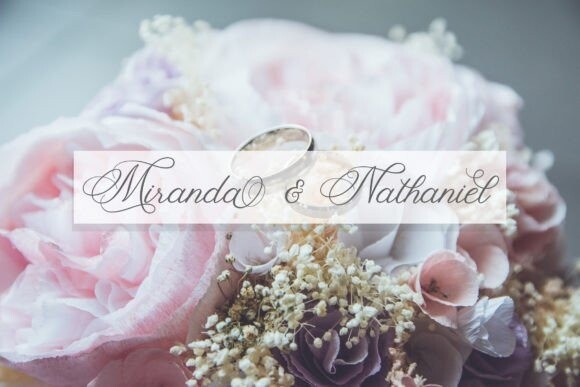 Fancy Script Font - Free Font