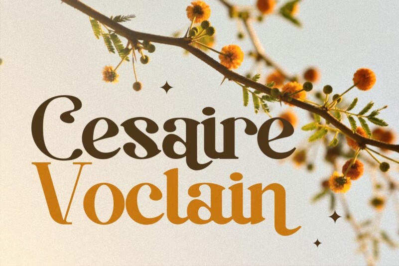 Baginks Birkin Serif - Free Font