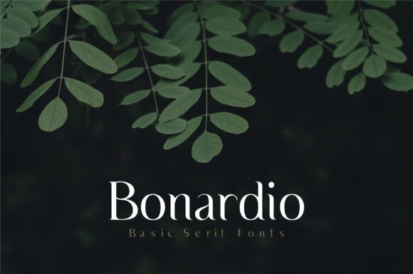 Bonardio Font - Free Font