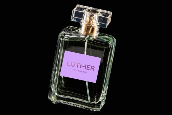 Carolina Font - Free Font