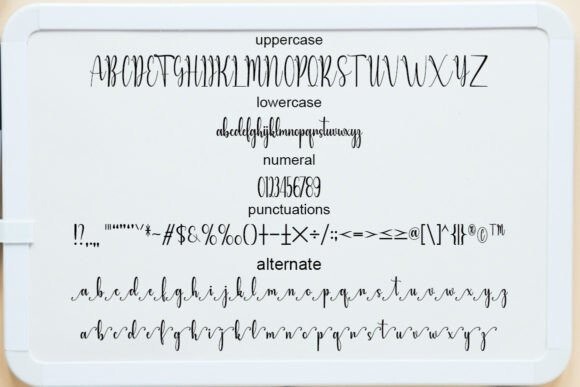 Paragraph Font - Free Font