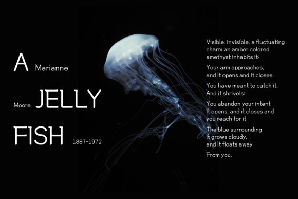 Story Serif Font - Free Font