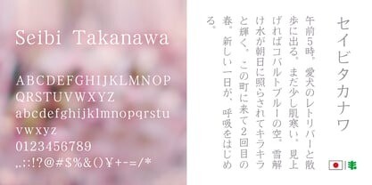Seibi Takanawa Font Family - Free Font