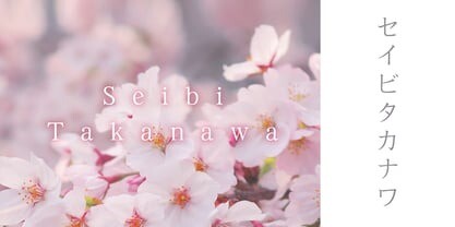 Seibi Takanawa Font Family - Free Font