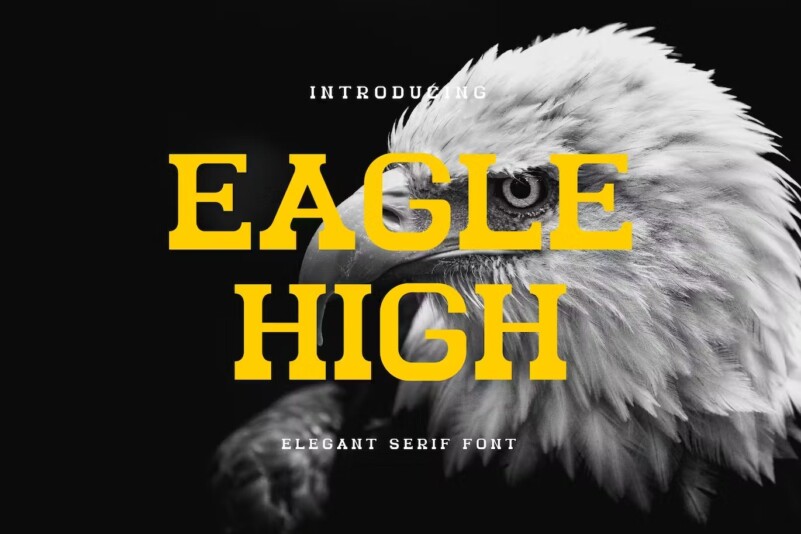 Eagle High - Elegant Serif Font - Free Font