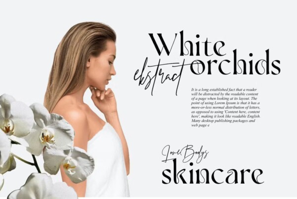 Agrolik Font Free Font