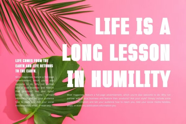 Never Font - Free Font