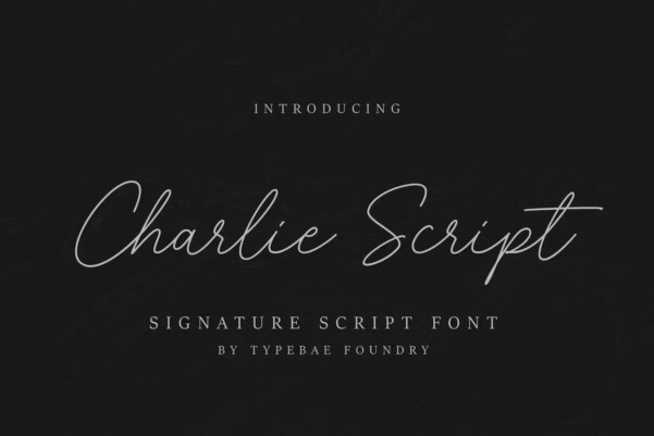 Charlie Script Font - Free Font