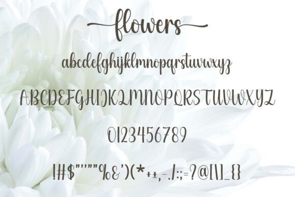 Flowers Script Typeface - Free Font