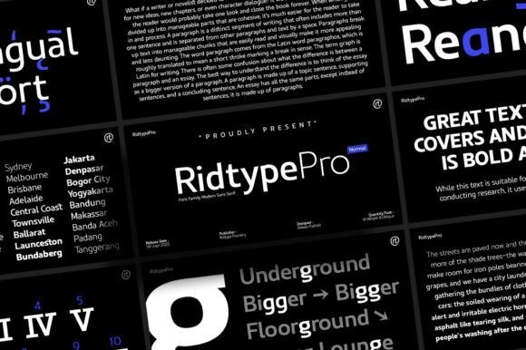 Ridtype Pro Font - Free Font