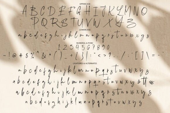 Melodia Signature Font - Free Font