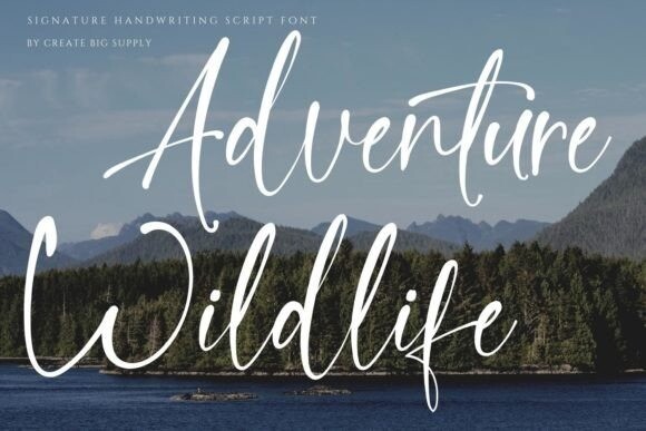 Quillia Font - Free Font