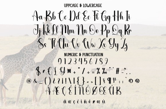 Giraffe Font - Free Font