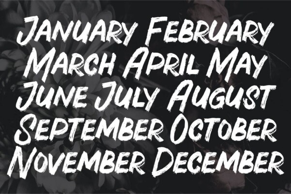 Page Maker Font - Free Font