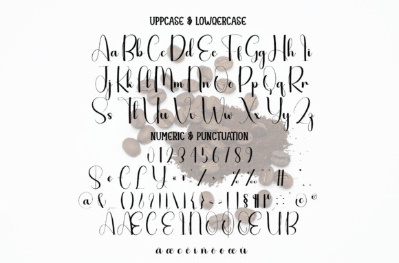 Roasted Script Font - Free Font