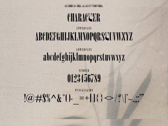 Tiara Serif Font - Free Font
