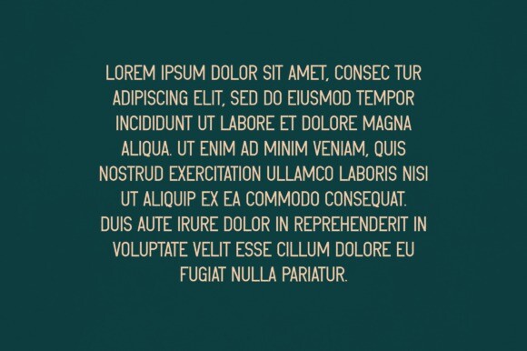 Birdie Font - Free Font