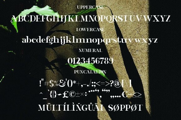 Ghost Rider's Font - Free Font