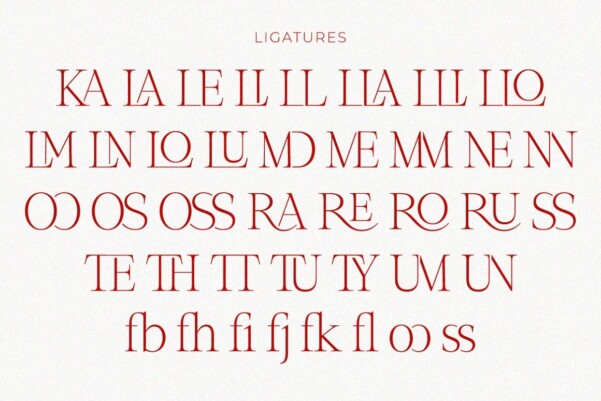 Role Model Font - Free Font