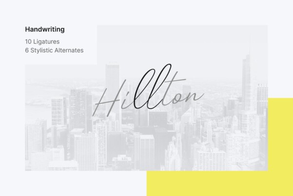 Quidity Font - Free Font