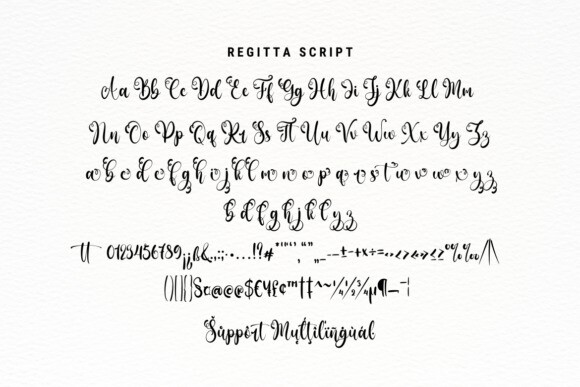 Regitta Script Font - Free Font