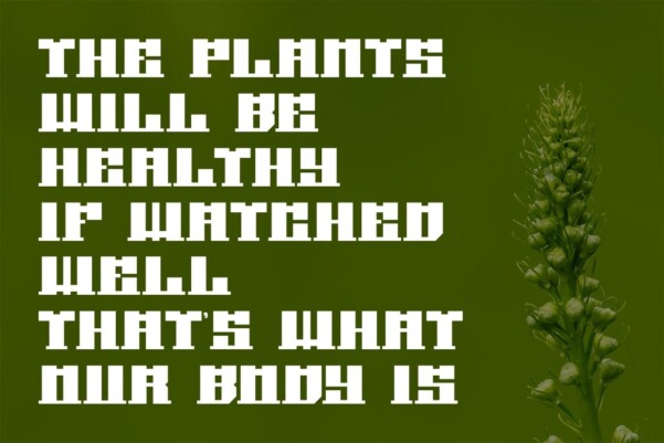 Soo Gena Font - Free Font