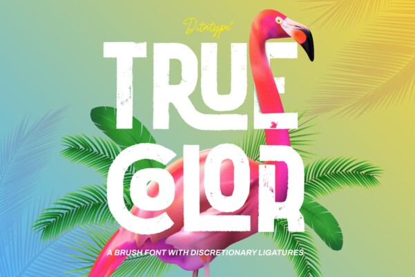 Truecolor Font - Free Font