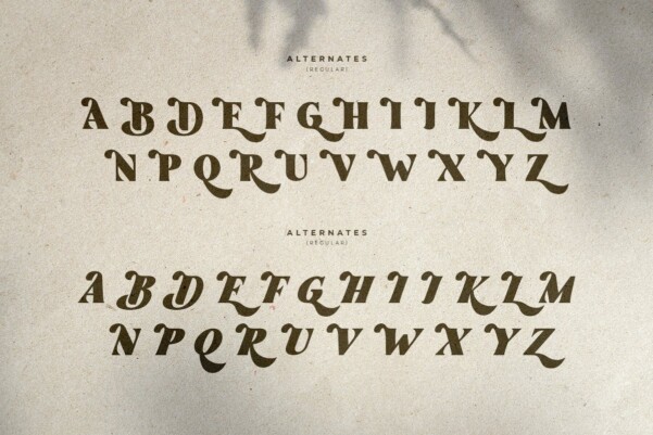 Rogue Retro Font - Free Font