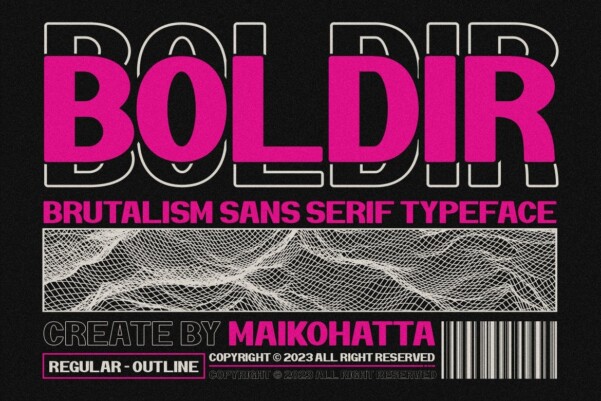 Boldir Font - Free Font
