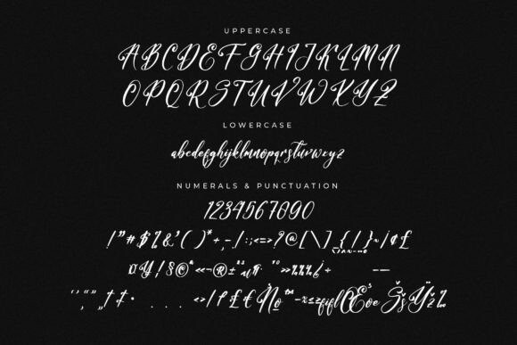 Bracetison Font - Free Font