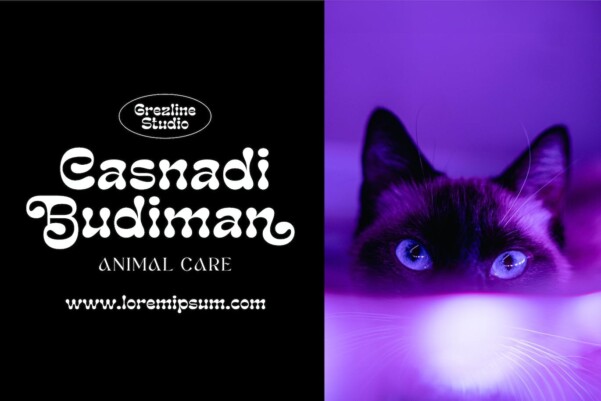 Camilla Jennifer Font - Free Font