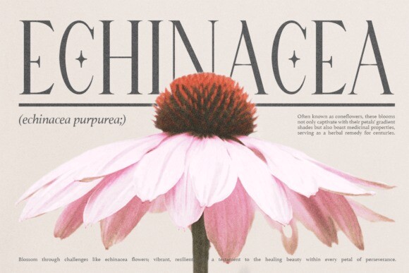 Grading Font - Free Font