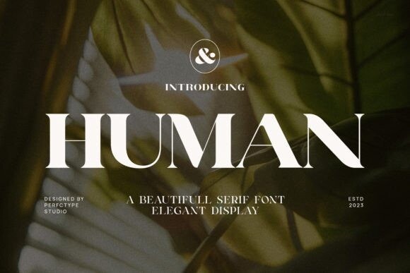 Human Elegant Serif Font - Free Font